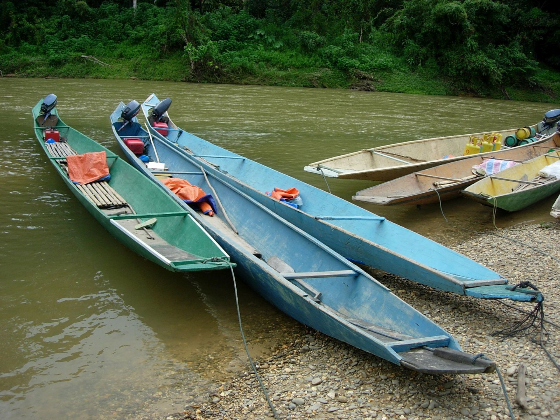 Borneo Highlights - 5 Tage Sarawak | Naturwunder Malayias